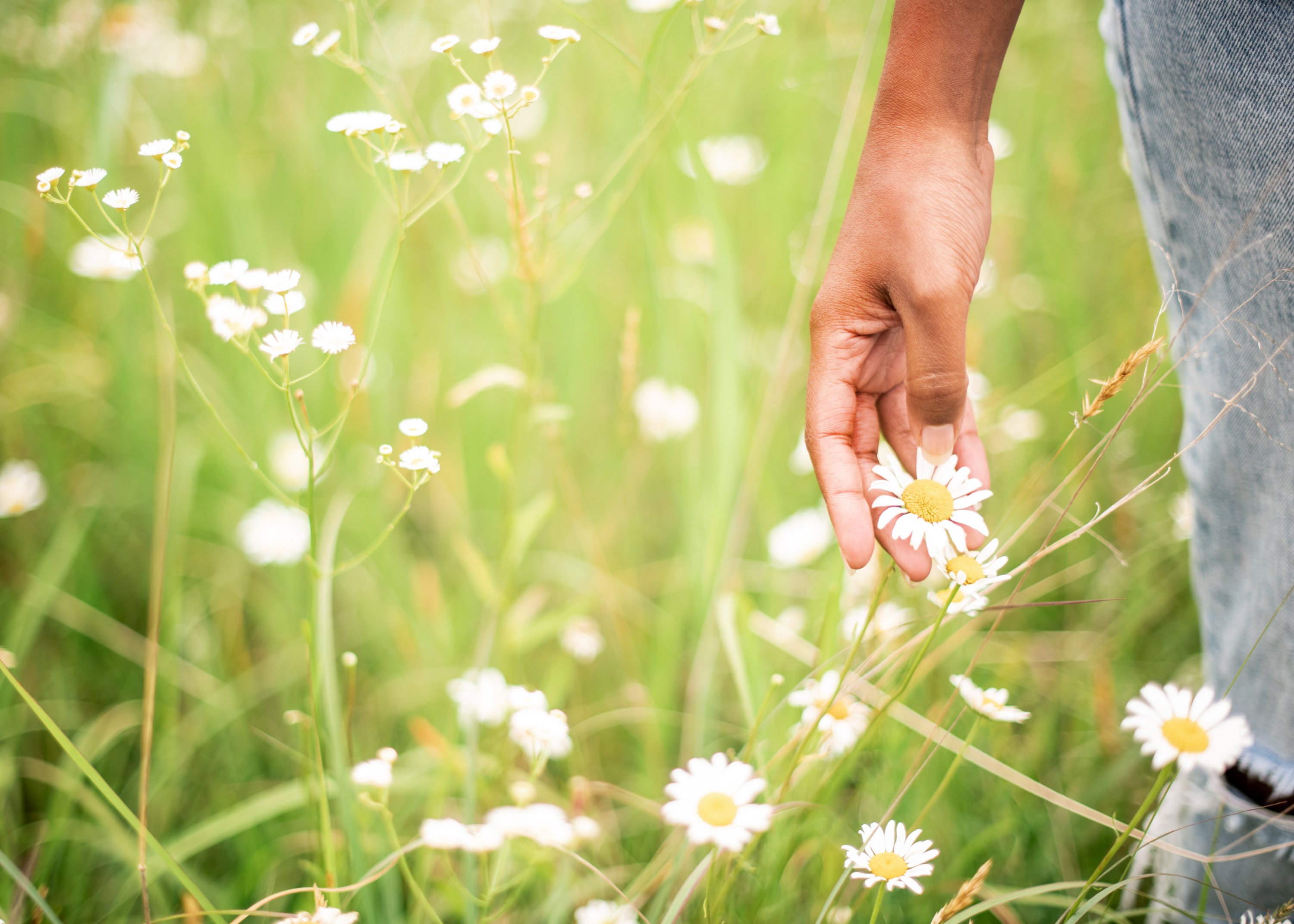 Why Confidence Makes the World Your Oyster – Triad Voice Mag